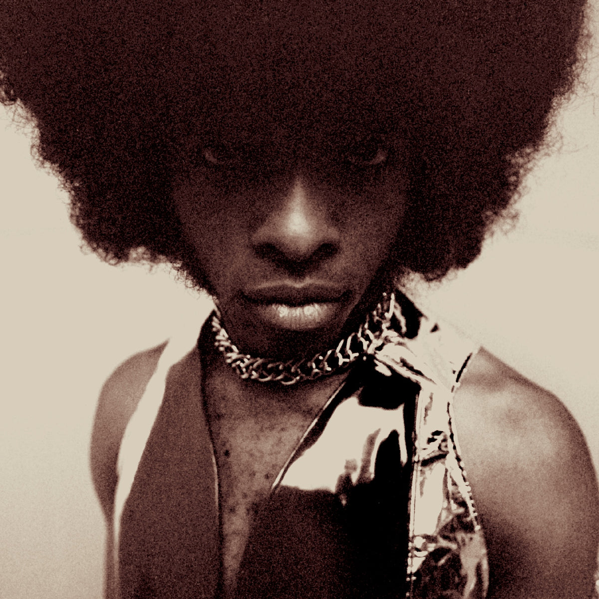 Digital Issue 32: Sly Stone – Wax Poetics